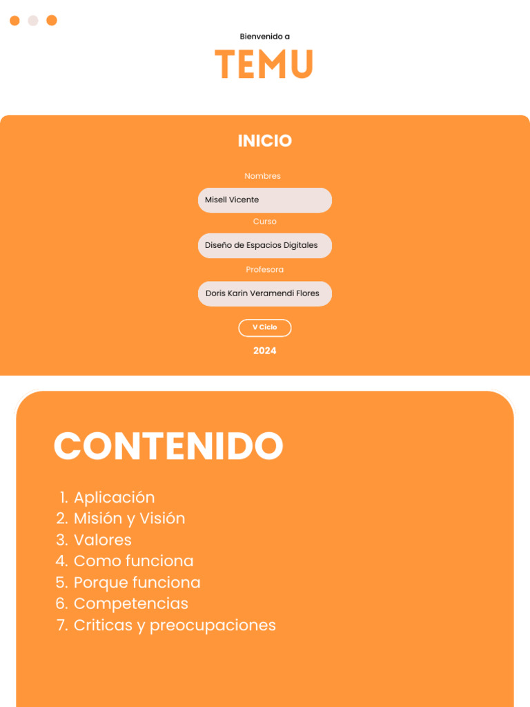 Temu Investigacion | PDF