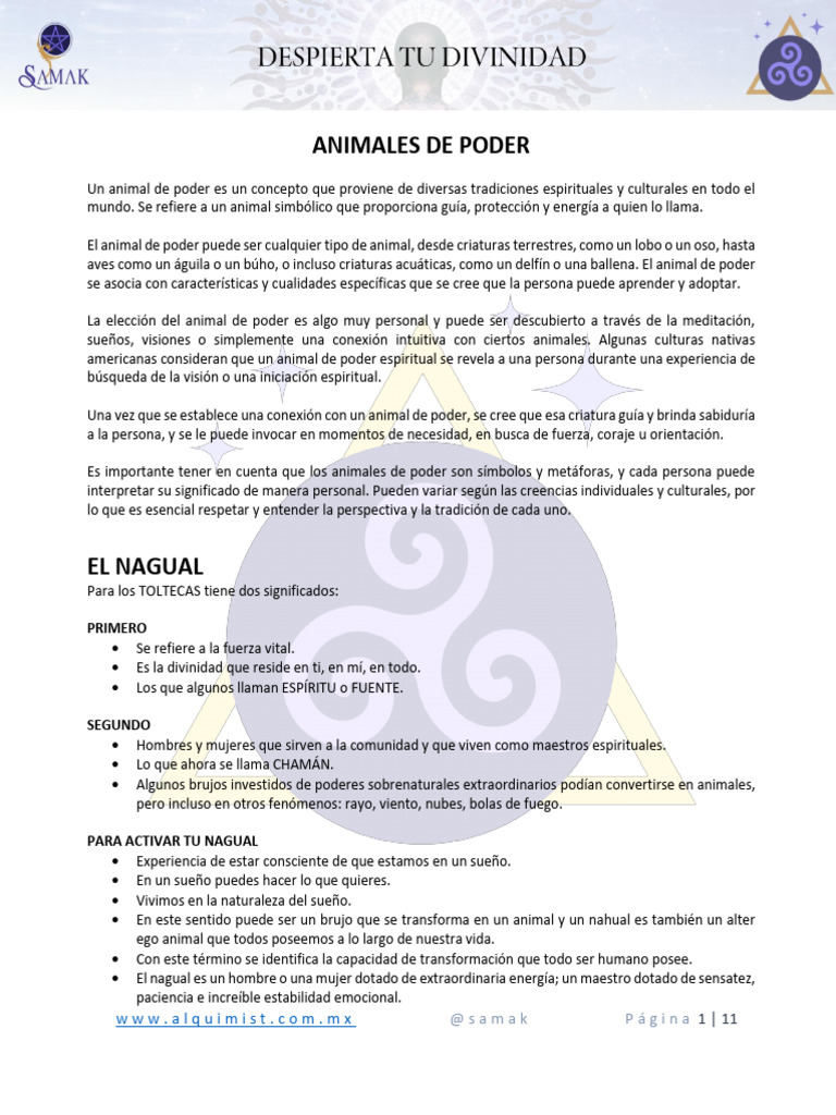 Animales de Poder y su Significado | PDF | Chamanismo | Filosofía