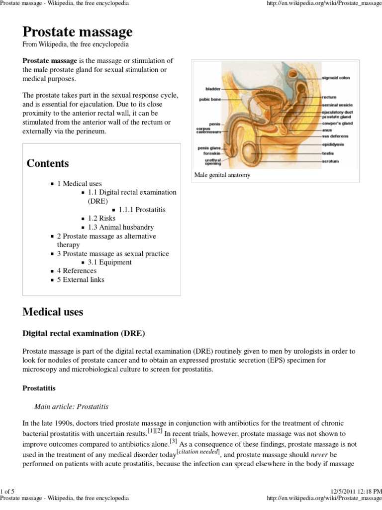 Prostate Massage - Wikipedia, The Free Encyclopedia | PDF | Sexual Acts ...