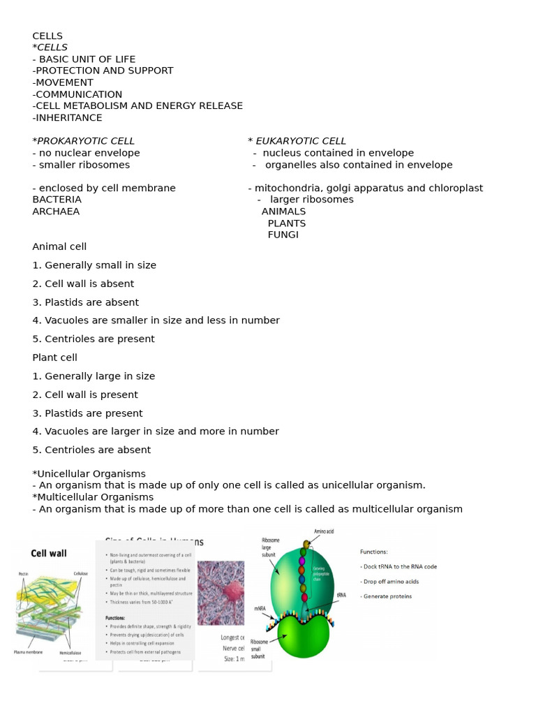 Cells Notes | PDF