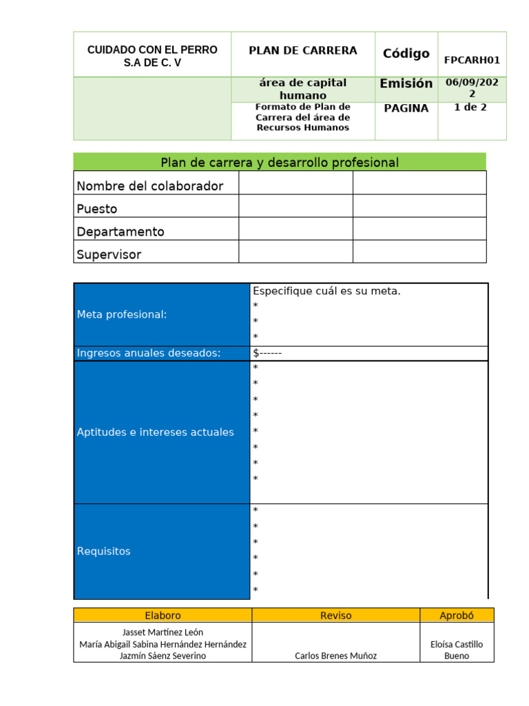 FORMATO DE PLAN DE CARRERA | PDF