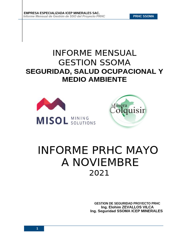 Informe #17 Final Del PRHC 2021 | PDF