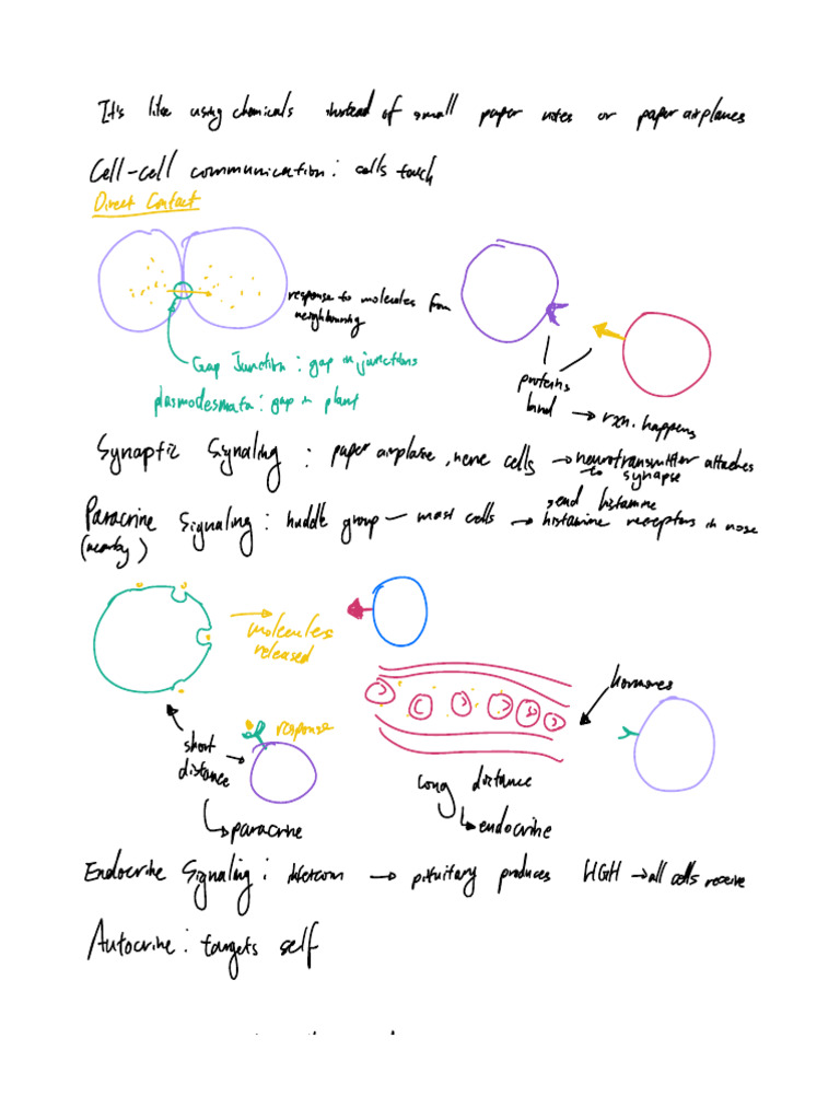 Cellular Communication Pdf