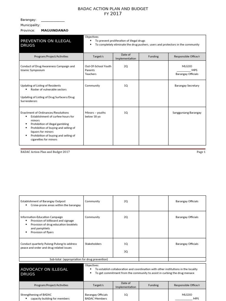 Badac Action Plan and Budget | PDF | Business