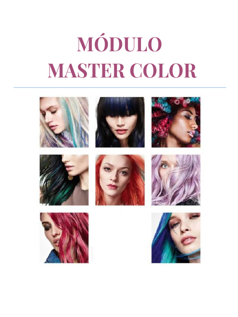 Modulo Master Color | PDF