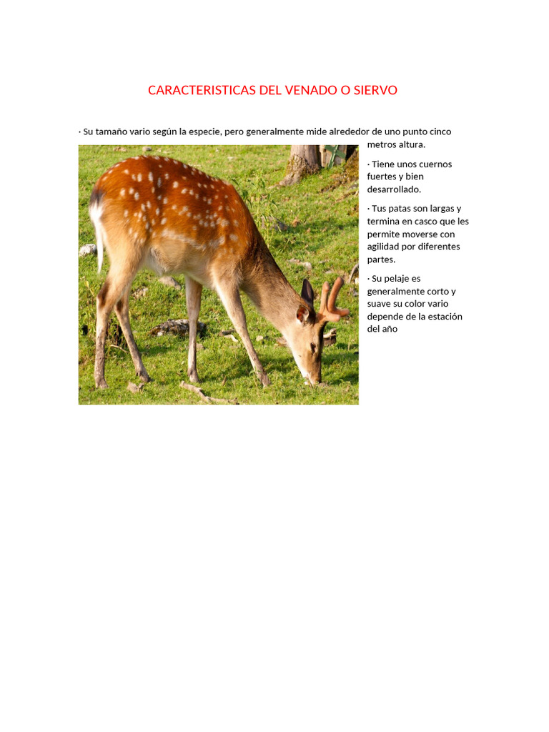 Caracteristicas Del Venado o Sierv1 | PDF