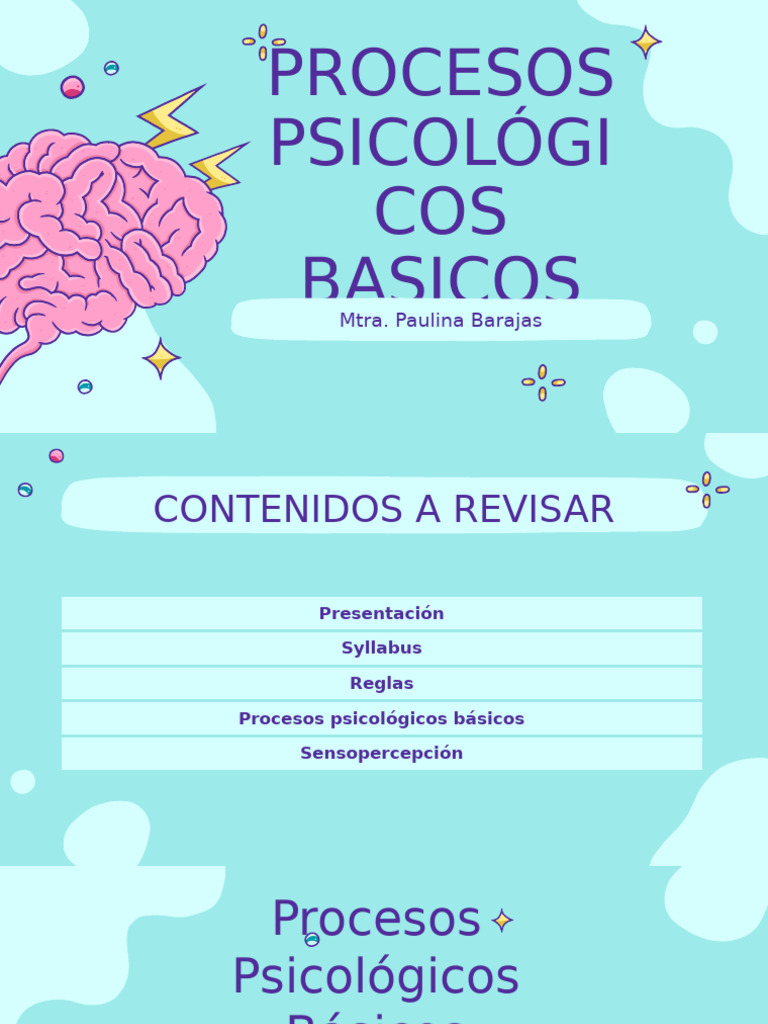 Procesos Psicológicos Básicos Clase 1 | PDF | Sentidos | Percepción visual