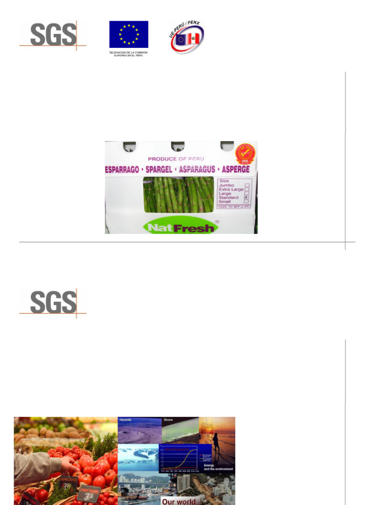 Envases y Embalajes | PDF