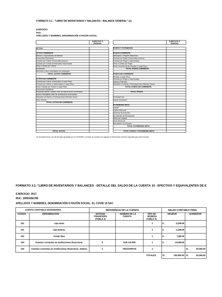 Formato 3.1 Balance General Actualizado 2022b_randy Roca | PDF