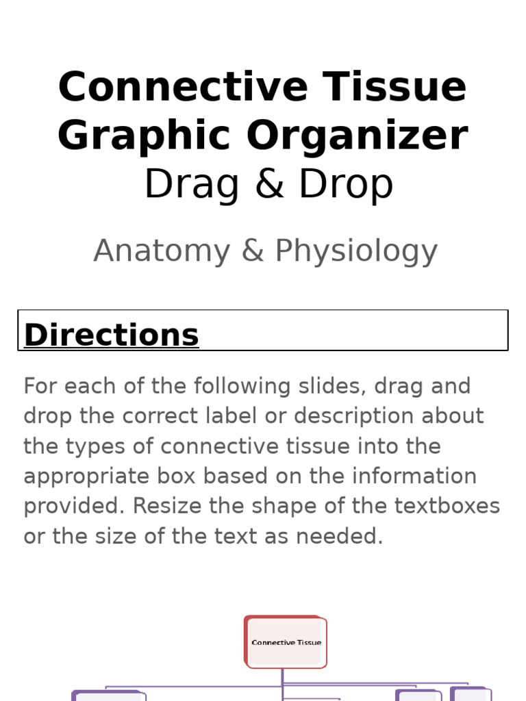 Connective Tissue Graphic Organizer Drag Drop | PDF
