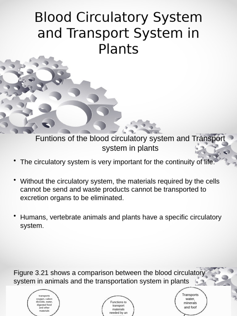 Blood Circulator | PDF