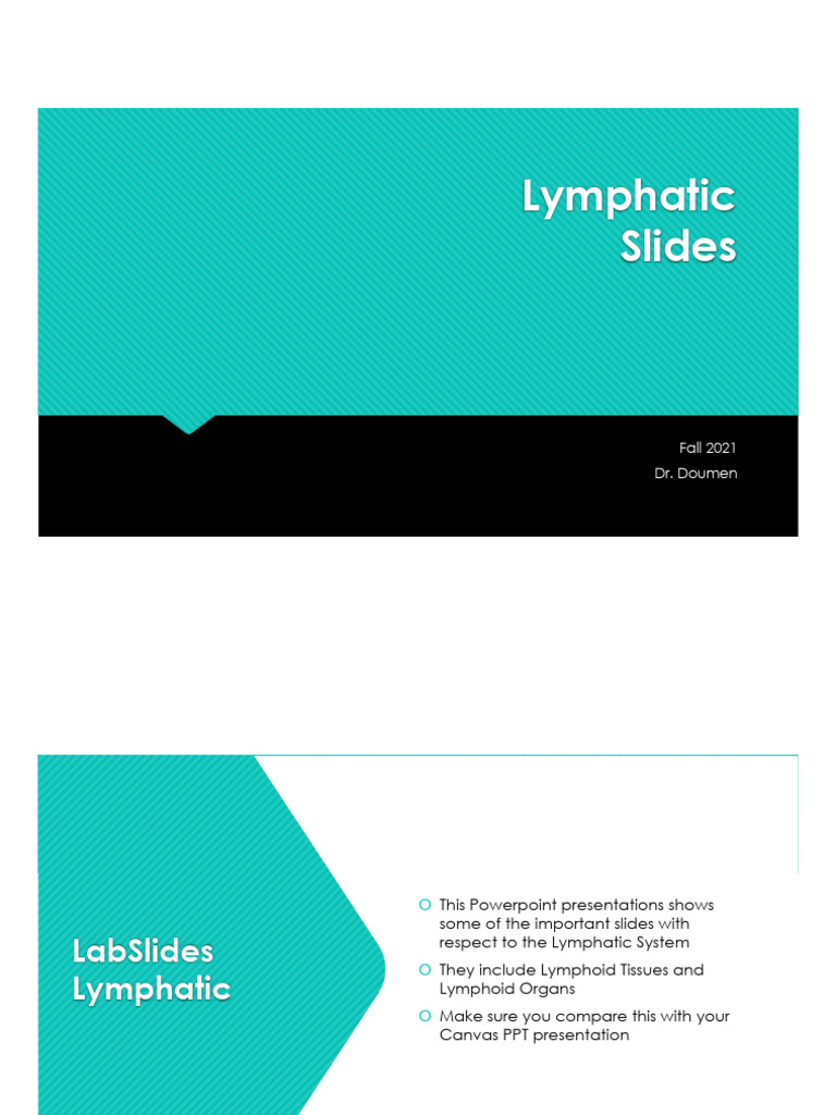 Lymphatic Slides | PDF
