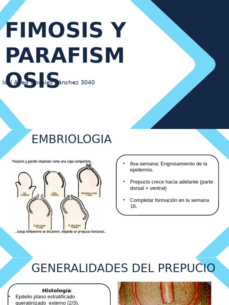 fimosis-y-parafimosis | PDF