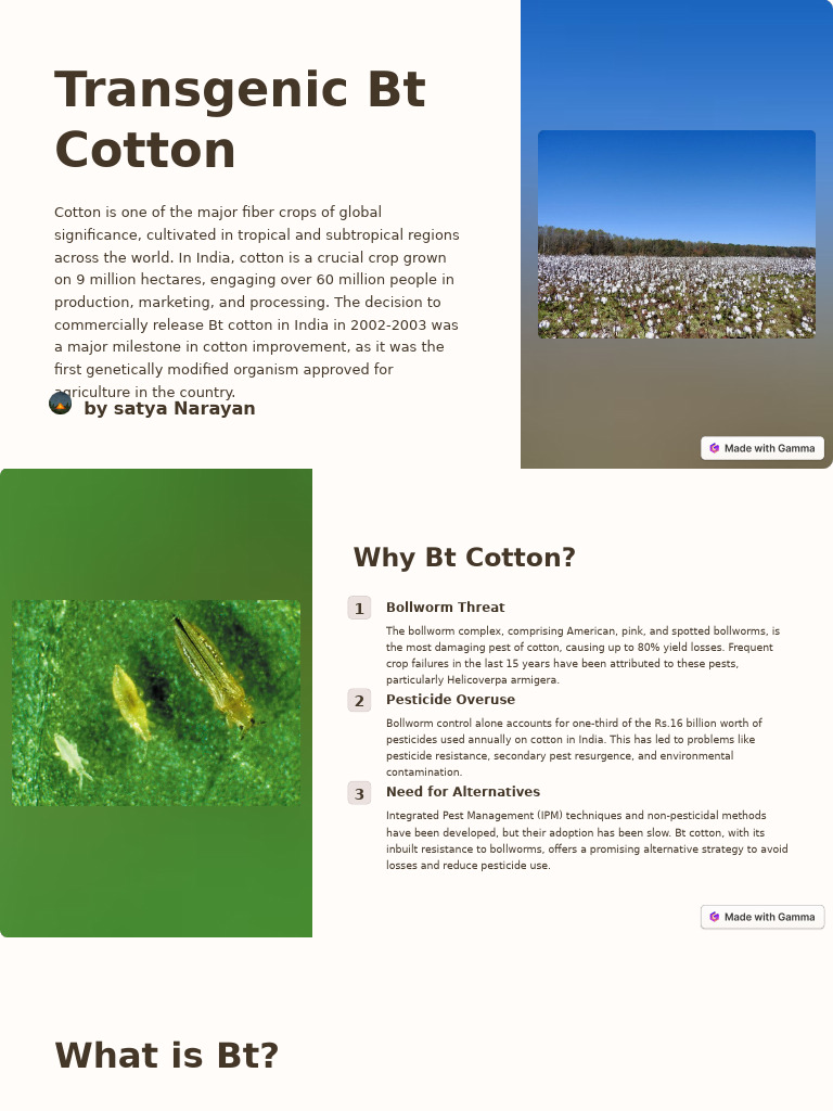 Transgenic BT Cotton | PDF