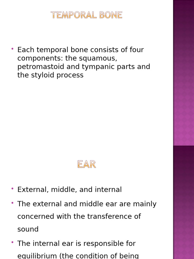 Each Temporal Bone Consists of Four Components: The Squamous ...