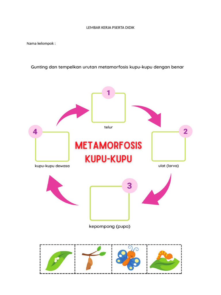 LKPD Kupu2 | PDF