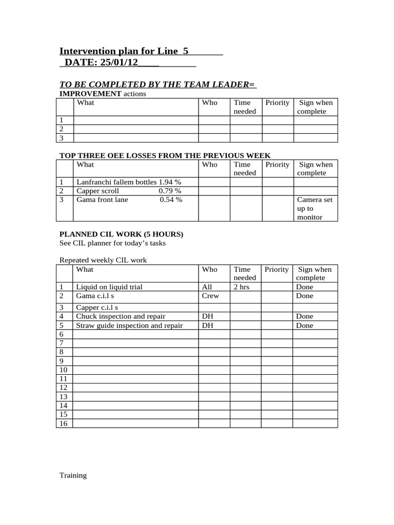 Intervention Plan | PDF