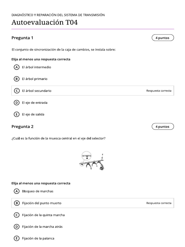 Autoevaluacion T04 | PDF