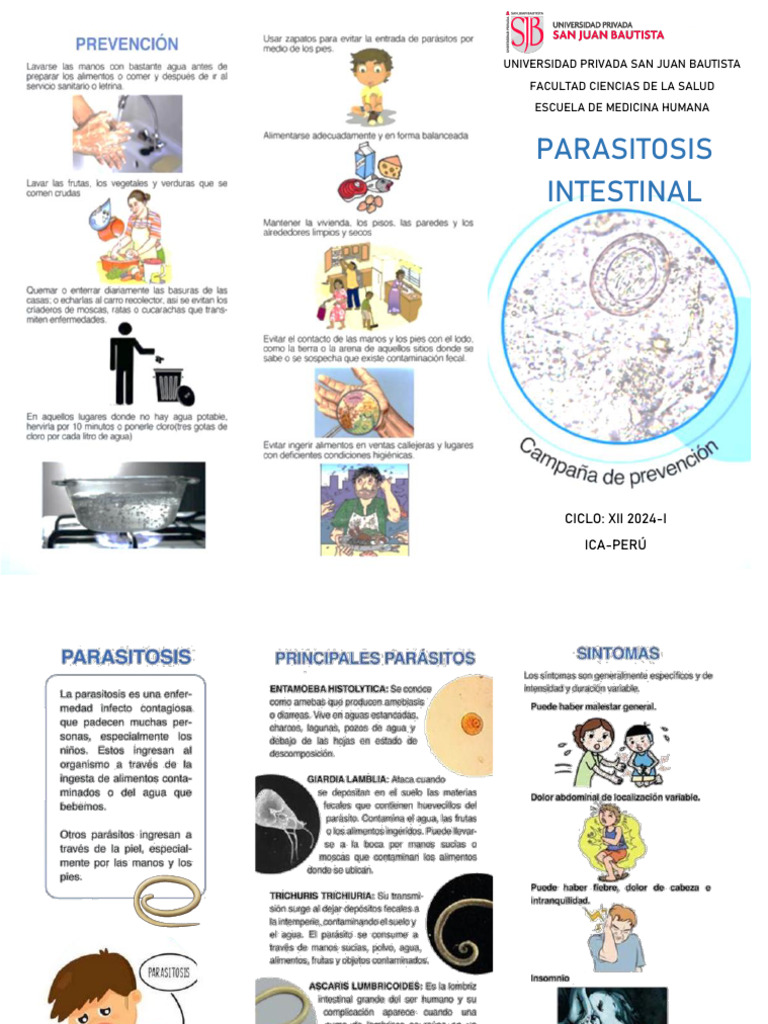 Triptico Parasitosis | PDF