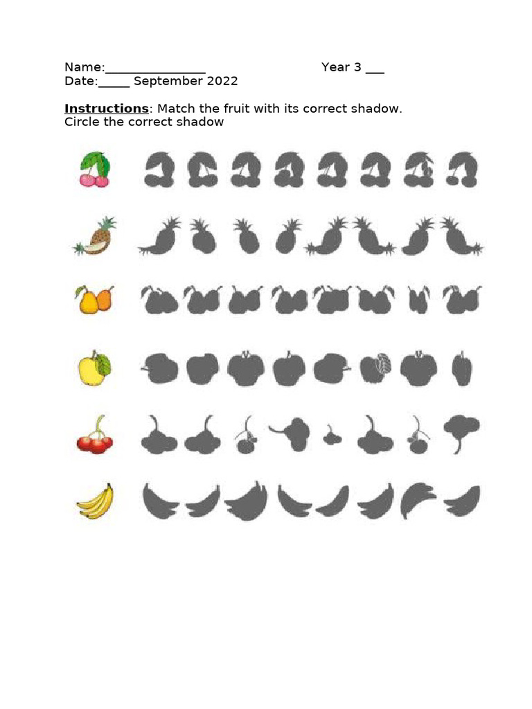 1.4 Y3 L1 - Match The Shadow Activity | PDF