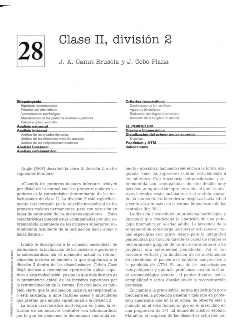 Cap 28 Clase II Division 2 | PDF