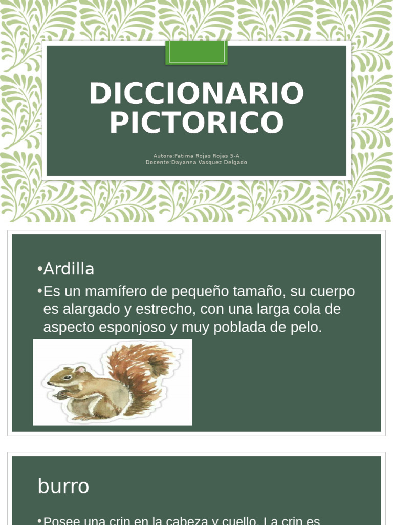Diccionario Pictorico | PDF