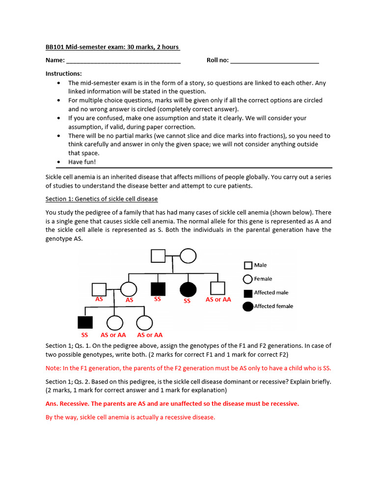 BB101 Mid Sem 2024 - Model Answers Final | PDF