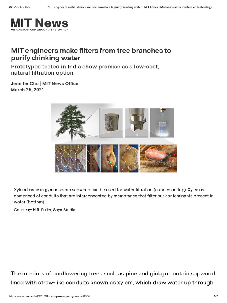 MIT Engineers Make Filters From Tree Branches To Purify Drinking Water ...