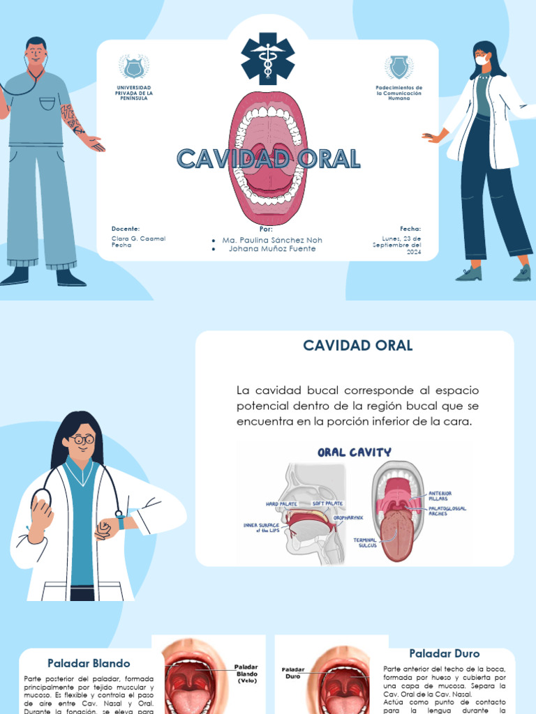 Cavidad Oral | PDF | Boca | Anatomía