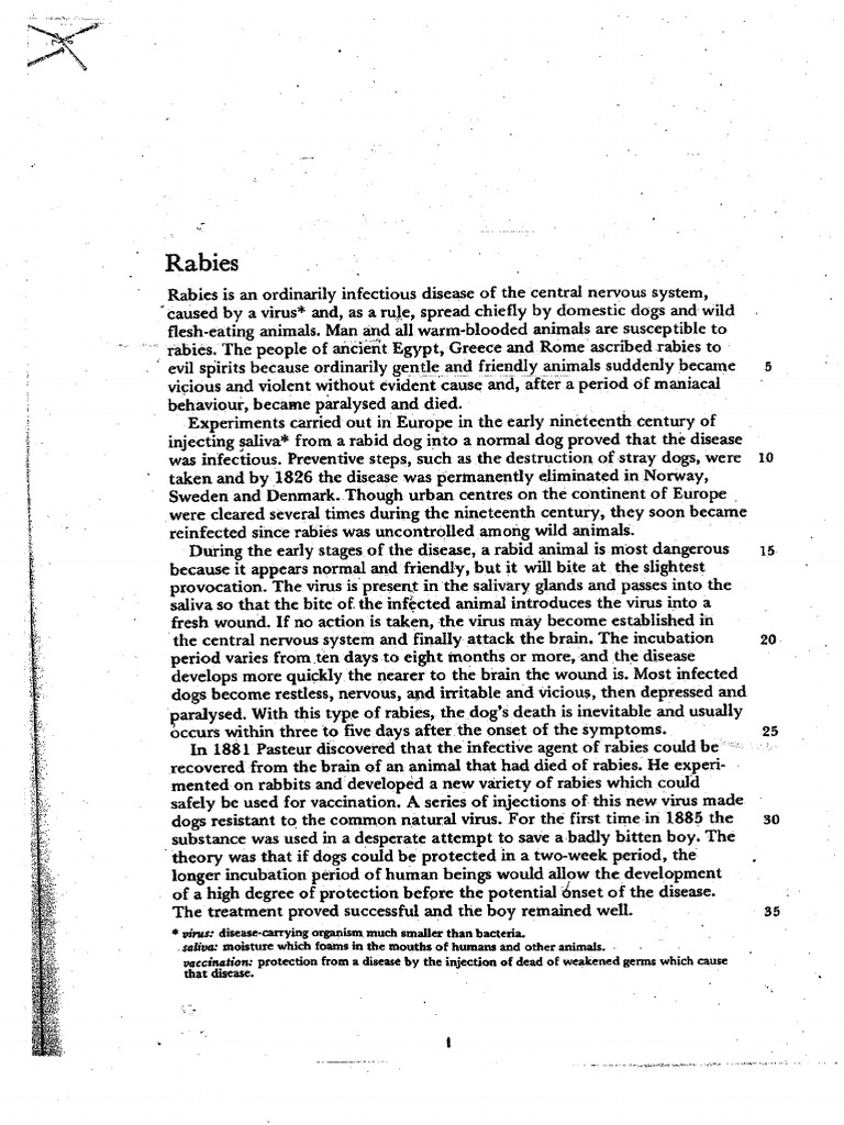 Rabies | PDF