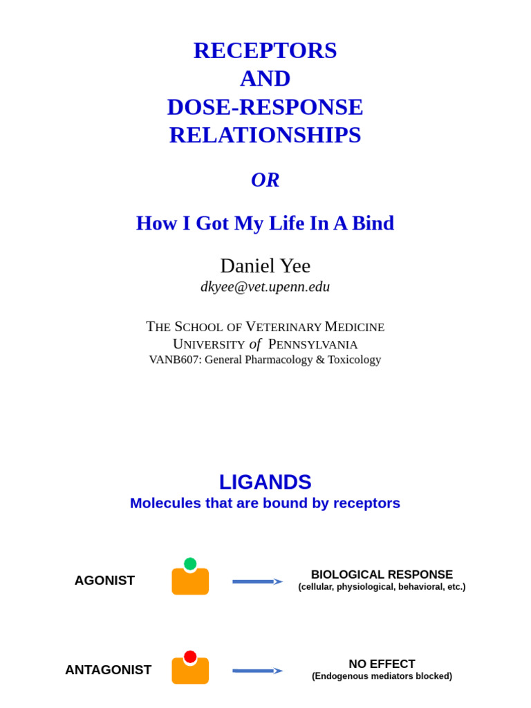 Pharm 7 and 8 Receptors 1 | PDF