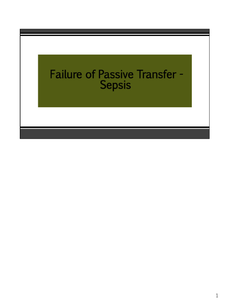 E1 Combined PPT | PDF