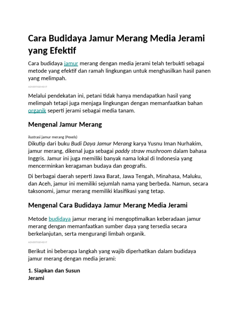Cara Budidaya Jamur Merang | PDF