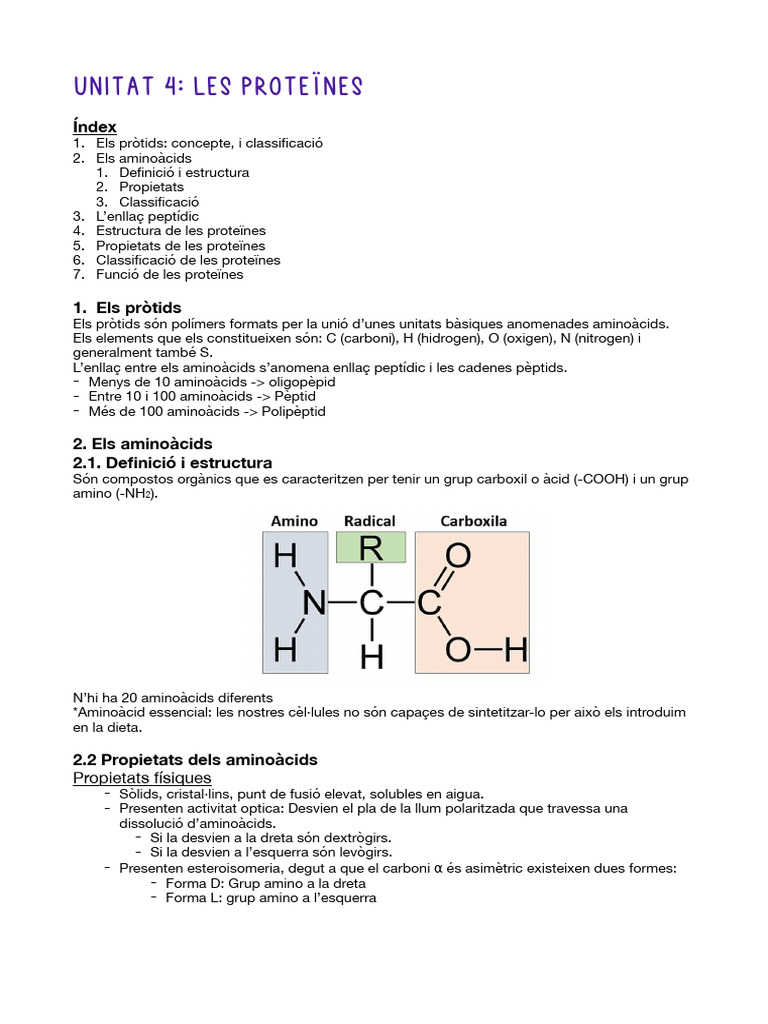 Unitat 4 Les Proteïnes | PDF