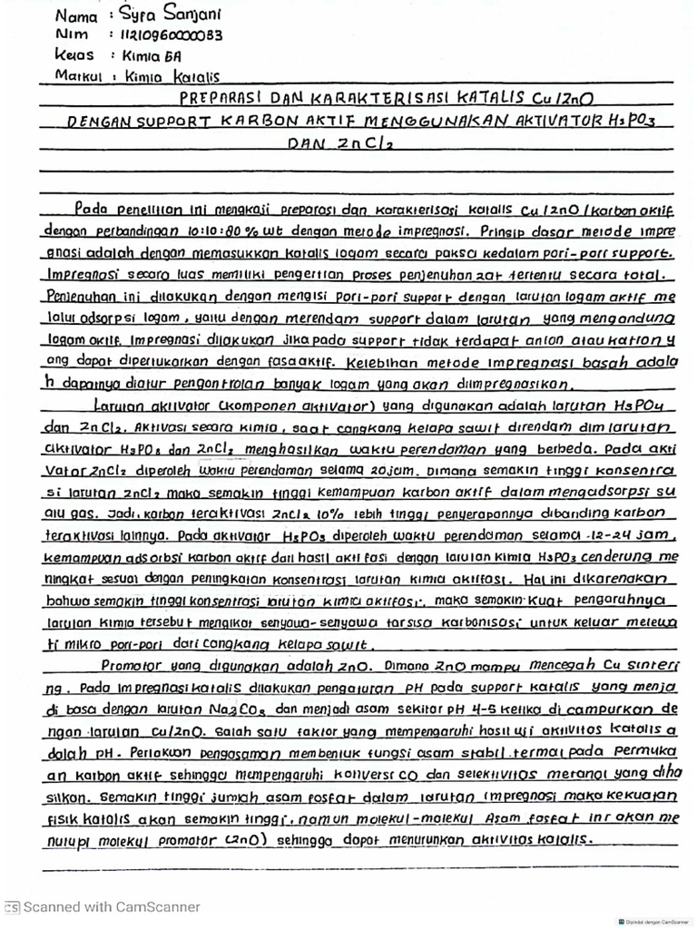 Syfa Sanjani - 11210960000033 - Promotor Dan Peranannya | PDF