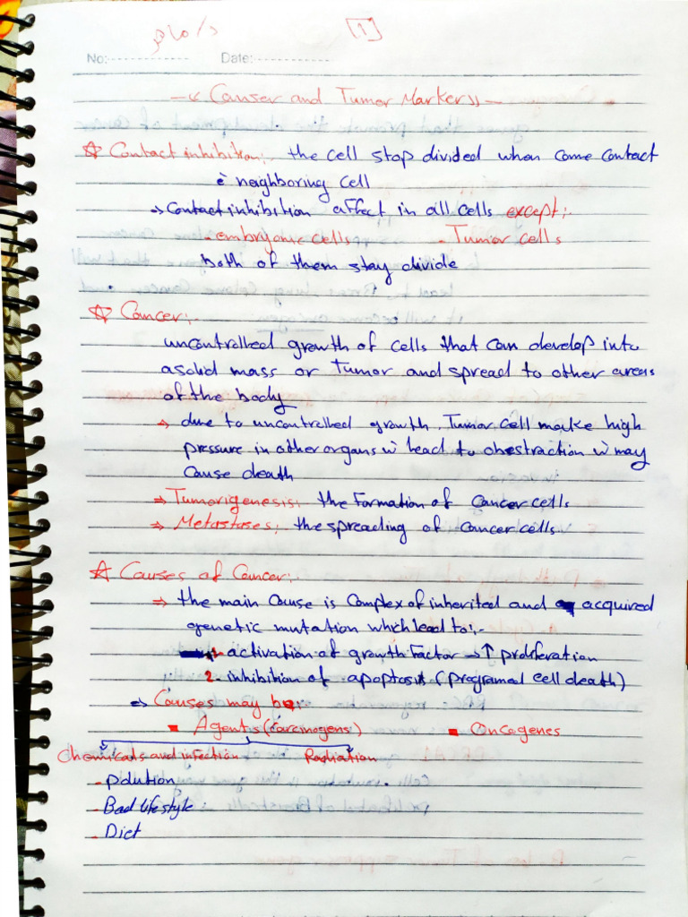 Timer Marker ماهر | PDF