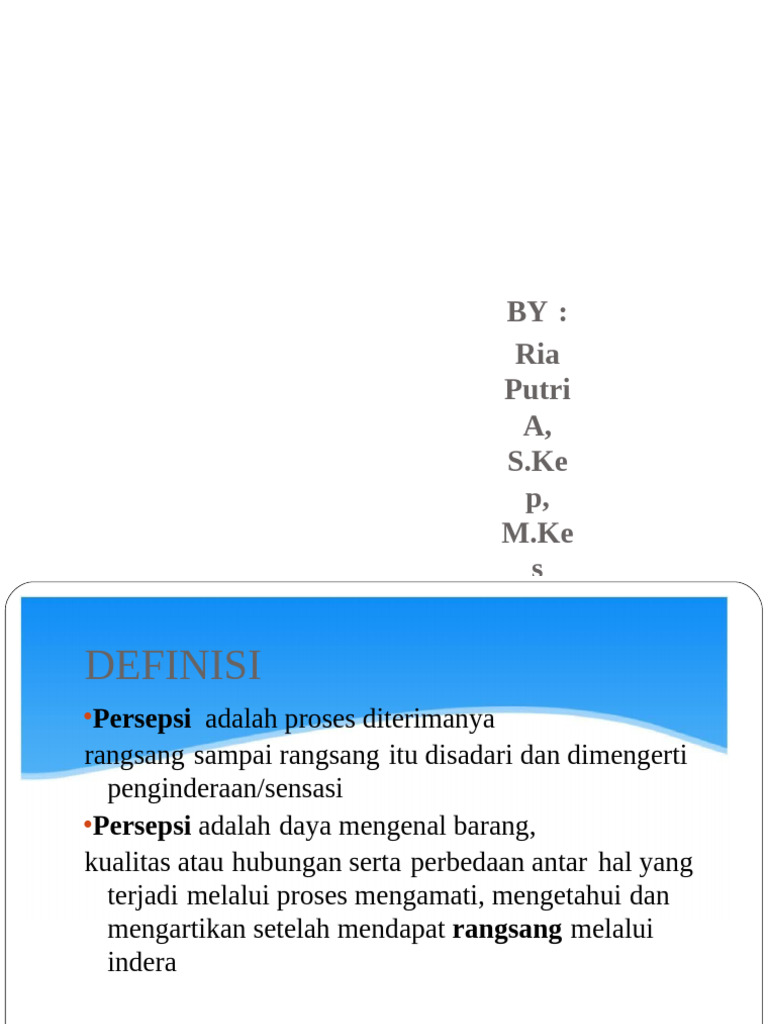Persepsi Sensori | PDF