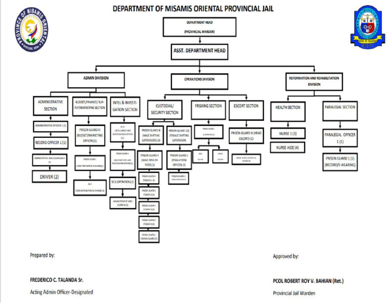 Org Structure | PDF