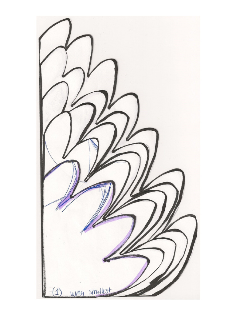 Parrot Wing | PDF