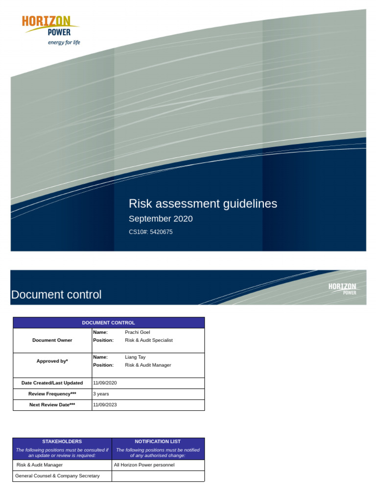 Risk Assessment Guideline | PDF
