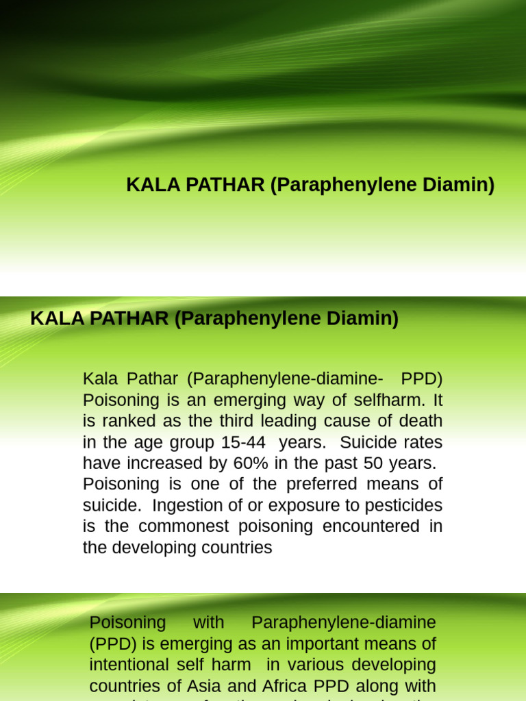 Kala Pathar PPD | PDF