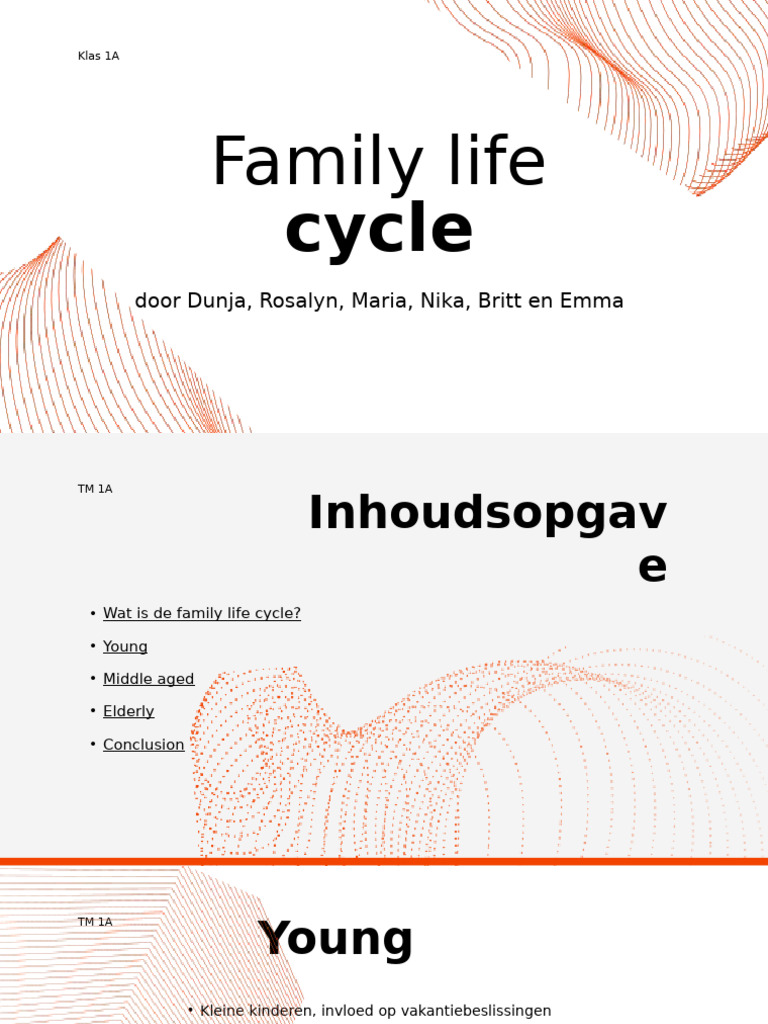 Family Life Cycle | PDF