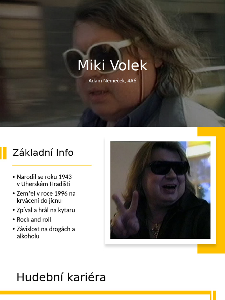 Prezentace Miki Volek | PDF