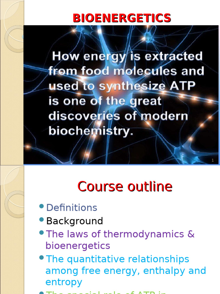BIOENERGETICS Power Point. | PDF | Gibbs Free Energy | Metabolic Pathway