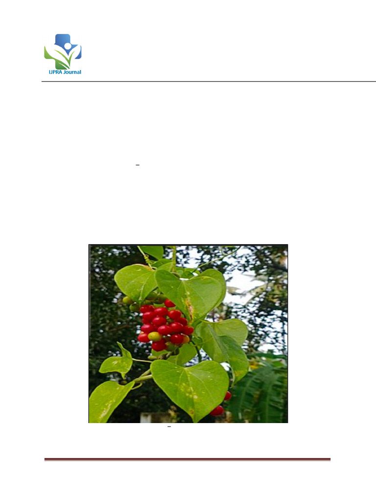 Development and Evaluation of Elixir Formulation From TinosporaCordifoli | PDF