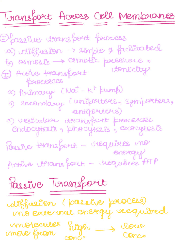 Transport Across Cell Membrane | PDF
