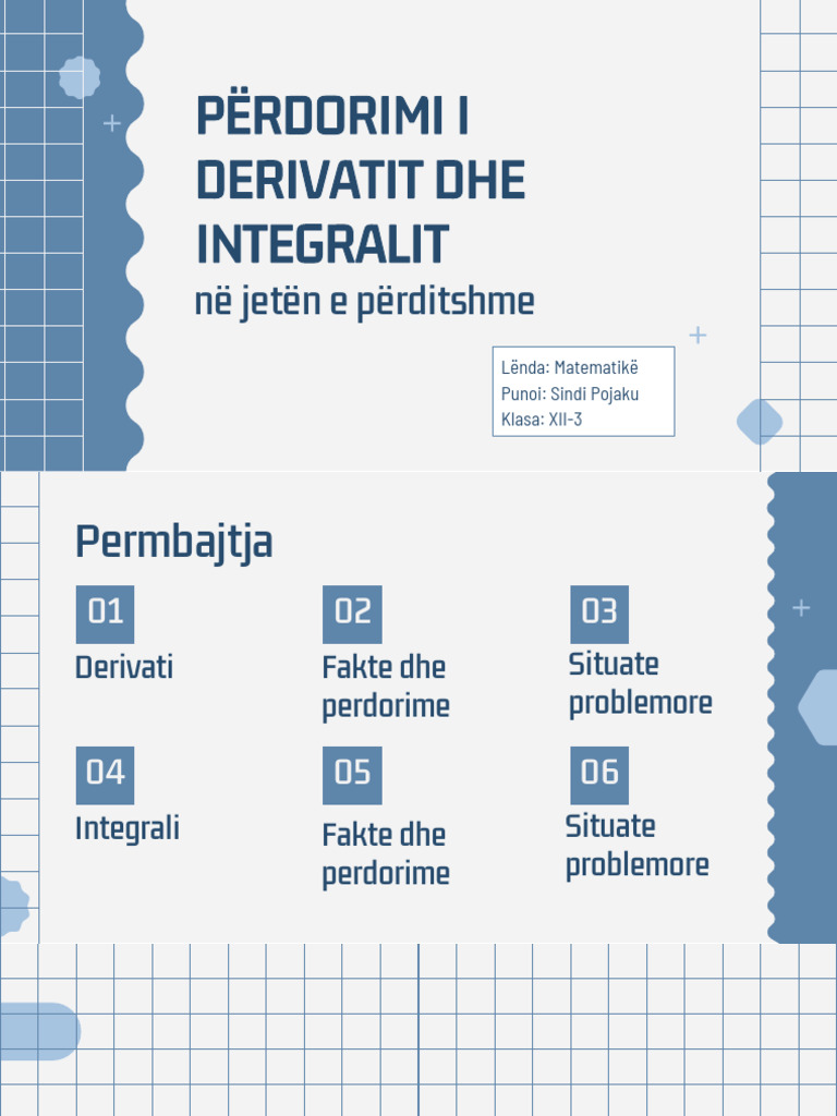 Derivati Dhe Integrali | PDF
