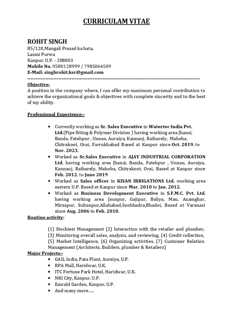 Rohit CV | PDF