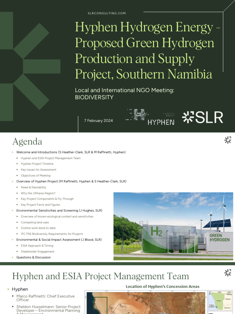 Hyphen Green Hydrogen Project Overview | PDF | Environmental Impact ...