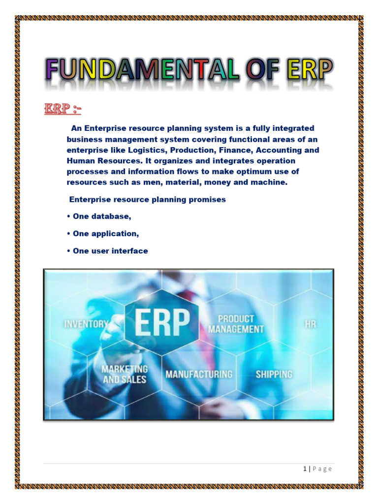 Fundamentals of ERP | PDF